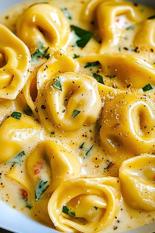 Creamy Tortellini Recipe - Cook Craze